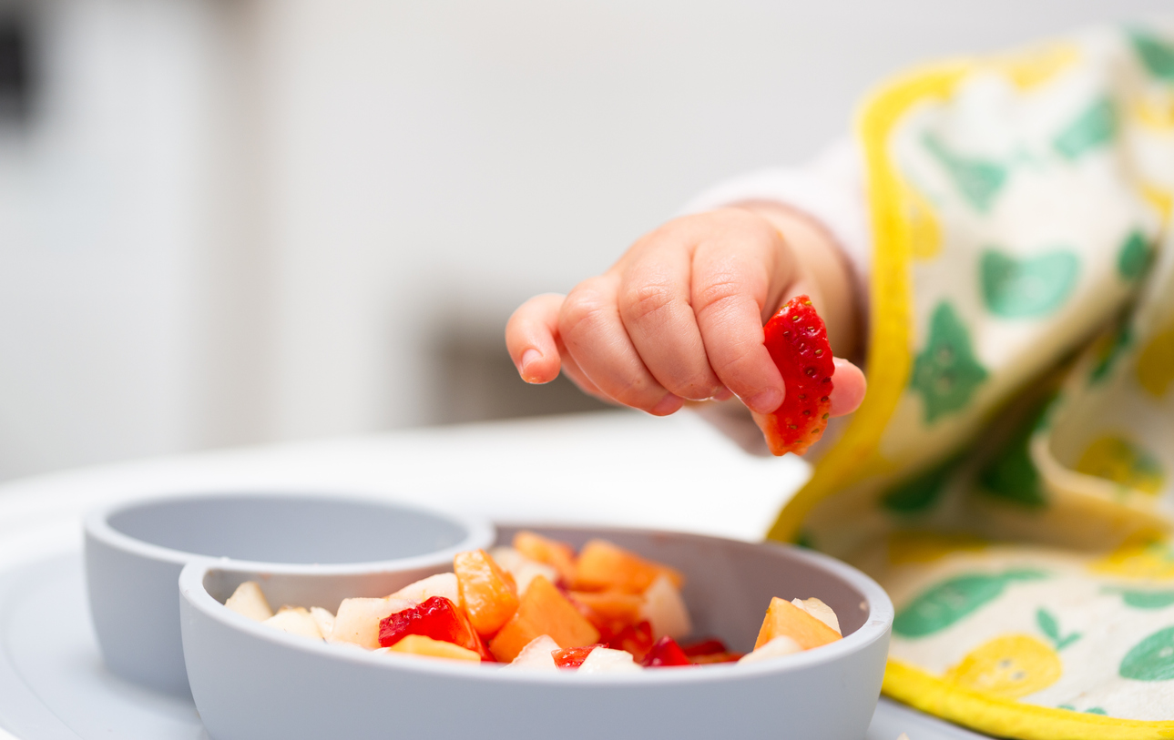 December 2022 – Safe Feeding Practices to Prevent Choking – Institute ...